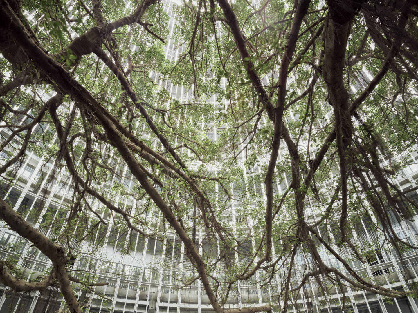 Hope Square | Archea Associati